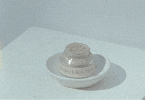 Chaga Mallow Mask – Palm of Feronia