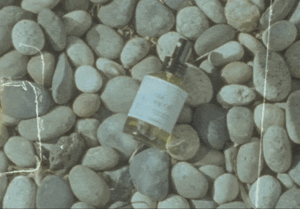 Ritual Cleansing Oil – Palm of Feronia